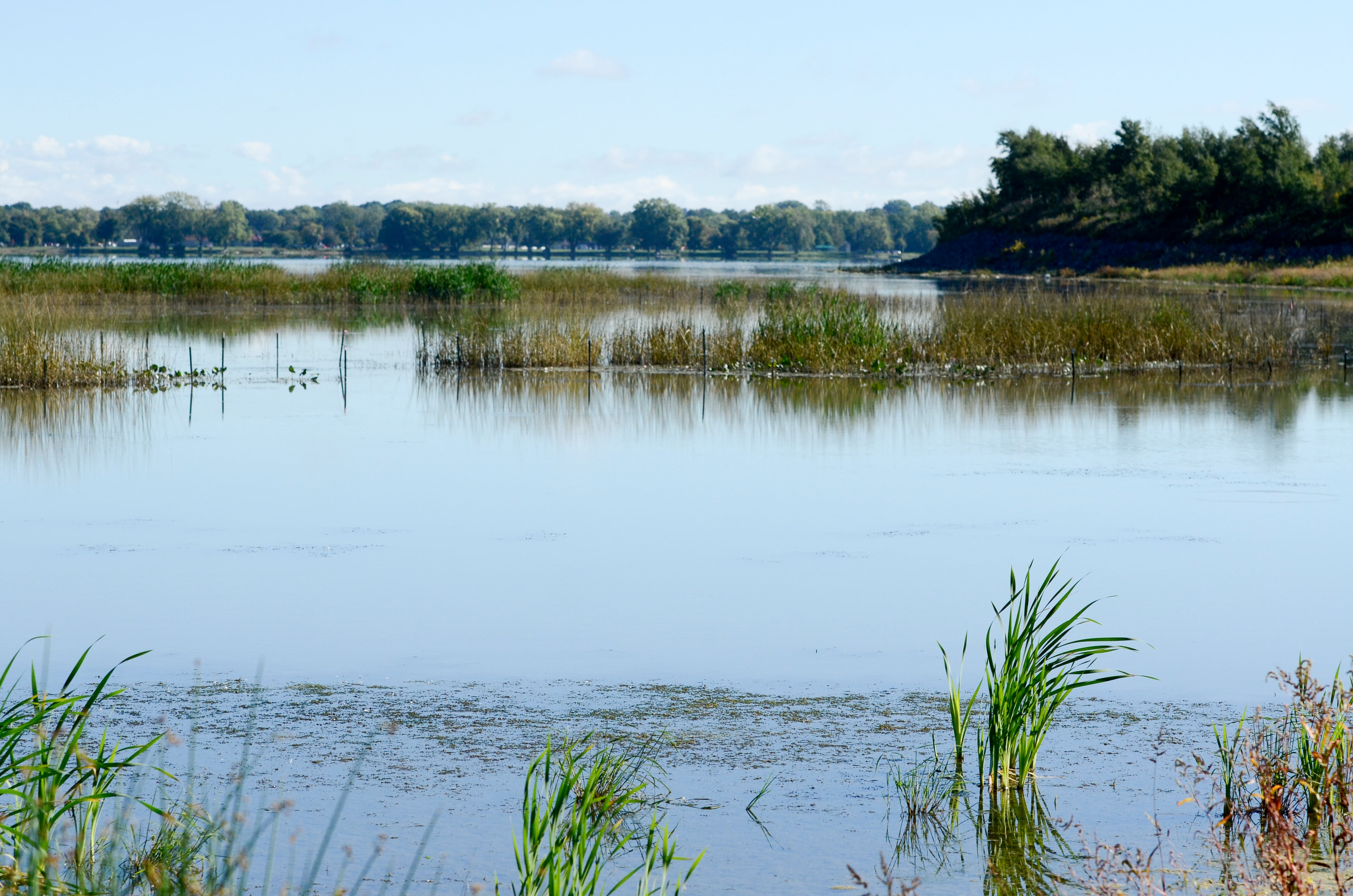Lake Habitat Onondaga Lake Cleanup